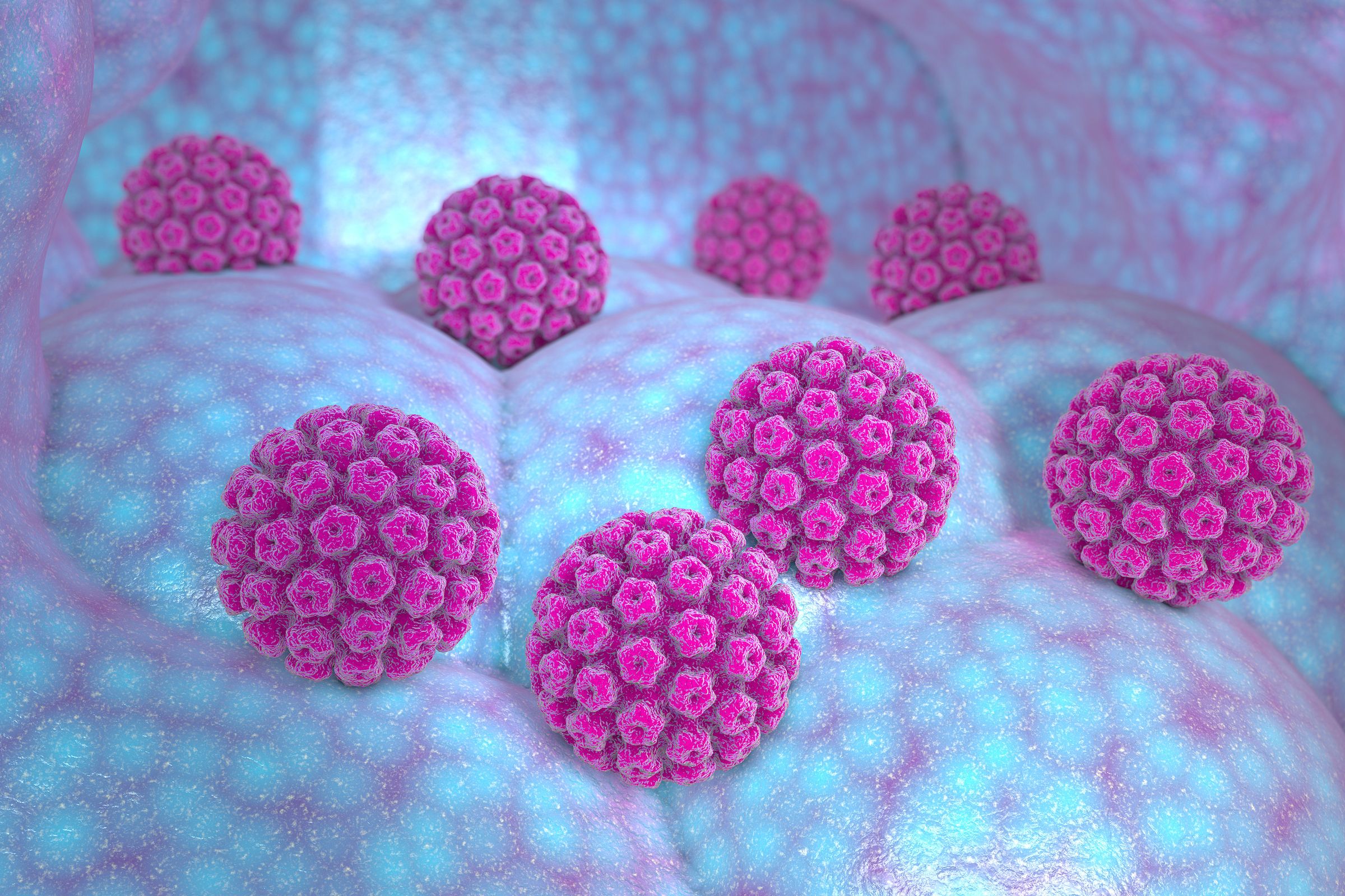 Hpv Hpv